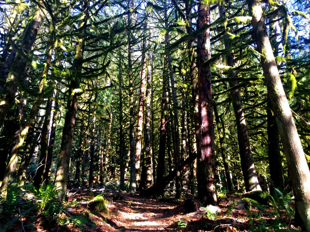 25 Hikes In The PNW – directions optional